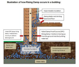 Rising Damp Treatment Can Be Important For Our Well Being | What To Do?